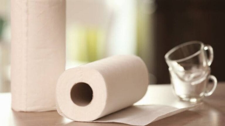 How to Stop Using Paper Towels? - GreenCitizen