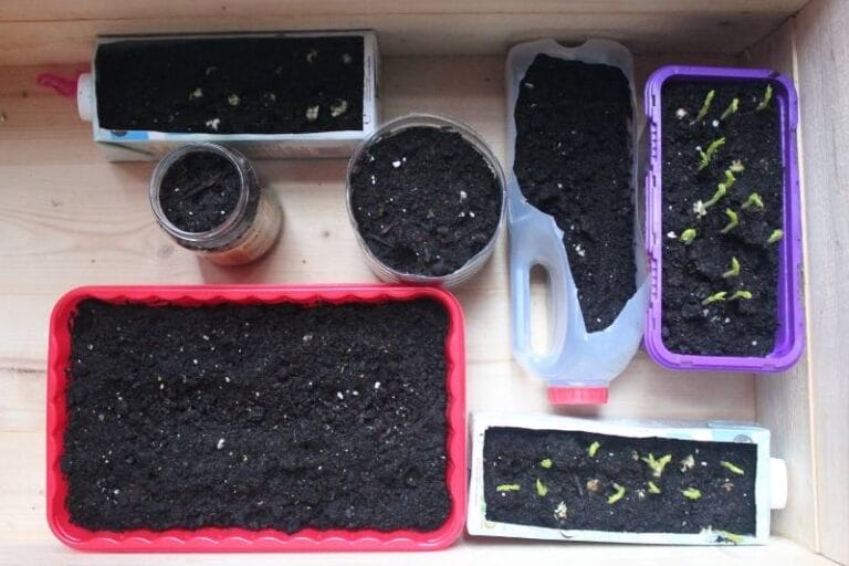 Is Tupperware Recyclable? Discover the Truth! - GreenCitizen