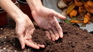 Are Magazines Recyclable? Sustainability Uncovered! - GreenCitizen