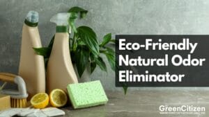 A Guide To Eco-Friendly Natural Odor Eliminator Choices