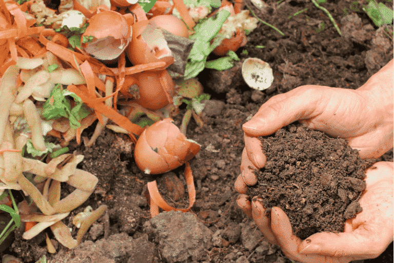 How to Supercharge Your Compost With a Compost Starter