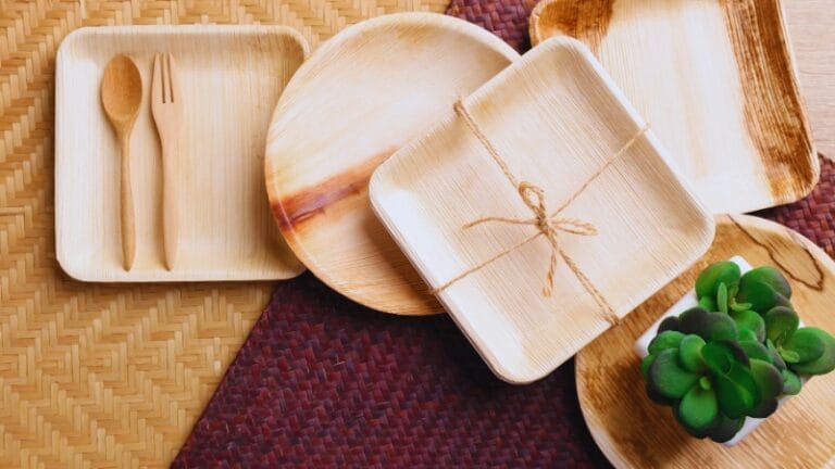 Why Switch to Compostable Tableware? Unpacking the Environmental ...