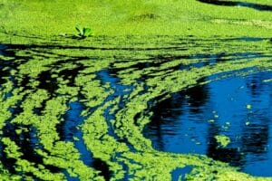 What Is Thermal Pollution? - GreenCitizen