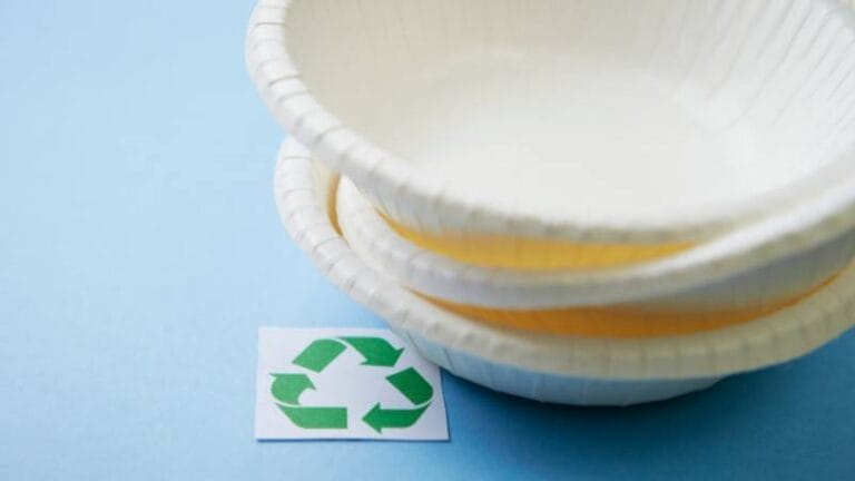 Are Paper Plates Recyclable or Silent Polluter?