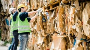 Cardboard Recycling Made Easy: Make a Difference Today