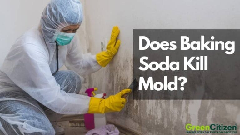 Does Baking Soda Kill Mold? - GreenCitizen