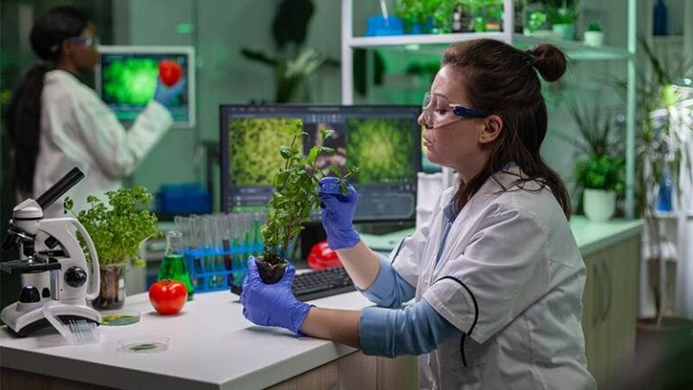 Top 21 Climate Change Jobs That Will Save The World - GreenCitizen