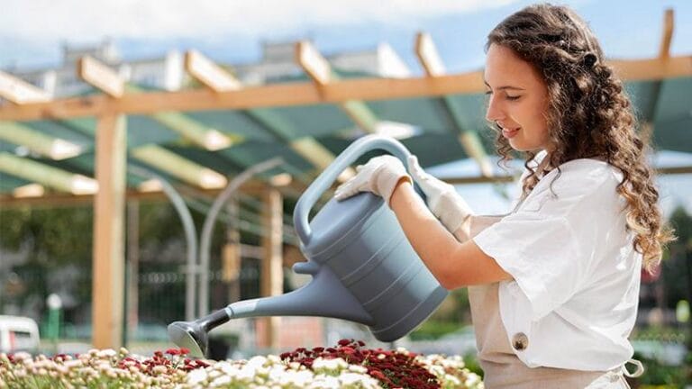 Rainwater Collection Systems for Sustainable Living - GreenCitizen