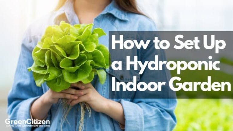 How to Set Up a Hydroponic Indoor Garden - GreenCitizen