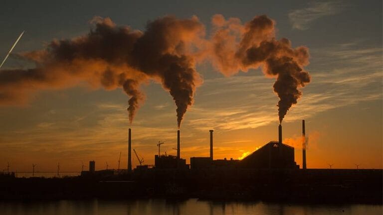 How Does Being A Vegan Help the Environment? - GreenCitizen