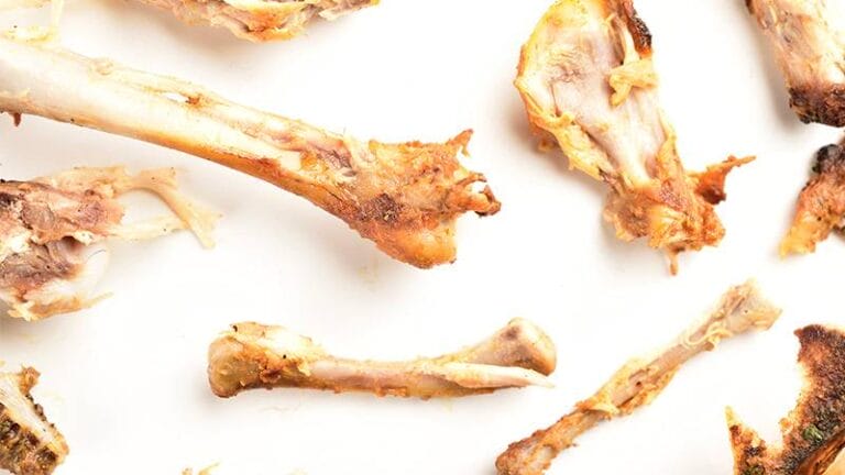 Can You Compost Chicken Bones? A Complete Guide - GreenCitizen