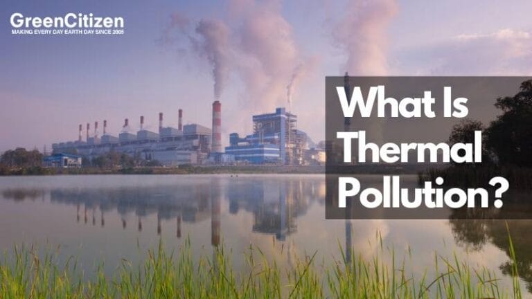 What Is Thermal Pollution? - GreenCitizen