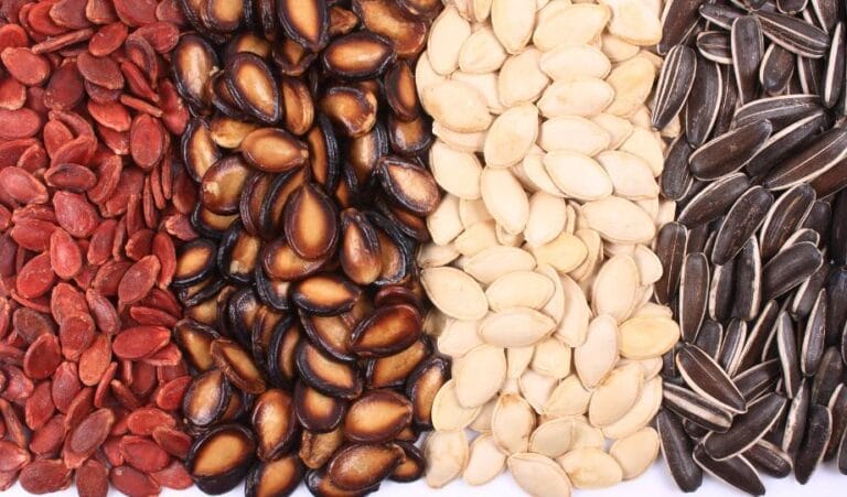 How to Start a Seed Library in Your Community - GreenCitizen