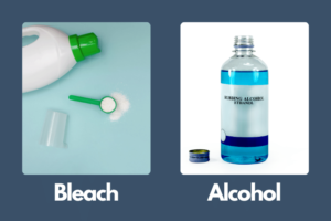 Does Alcohol Kill Mold and Mildew? - GreenCitizen