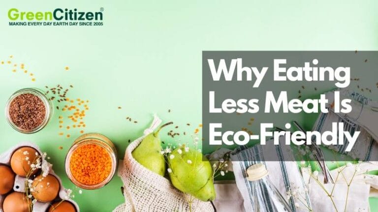 Why Eating Less Meat Is Eco-Friendly - GreenCitizen
