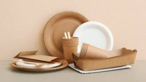 Are Paper Plates Recyclable or Silent Polluter?