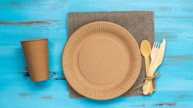 Are Paper Plates Recyclable or Silent Polluter?