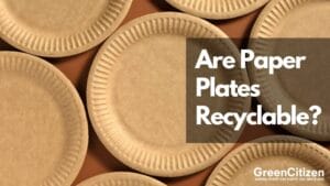 Are Paper Plates Recyclable or Silent Polluter?