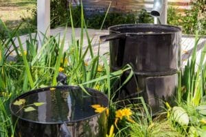 Rainwater Collection Systems for Sustainable Living - GreenCitizen