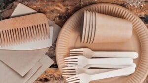 Are Paper Plates Recyclable or Silent Polluter?