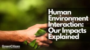 Human Environment Interaction: Definition, Types, and Examples