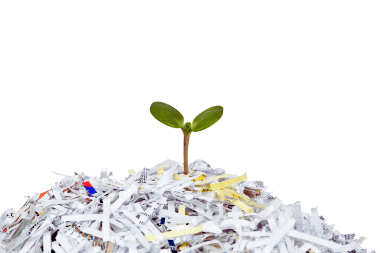 Paper Recycling: A True Environmental Success Story