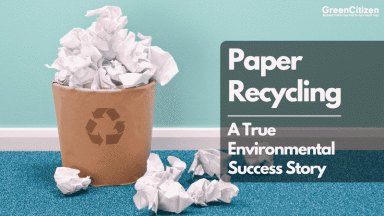Paper Recycling: A True Environmental Success Story