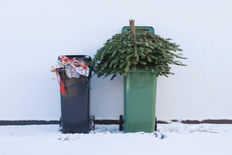 14 Common Recycling Myths and the Facts Behind Them - GreenCitizen