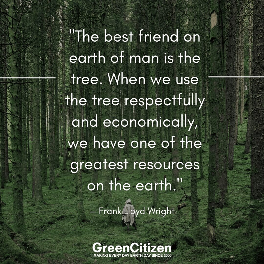 33 Thought-Provoking Earth Day Quotes to Inspire Action