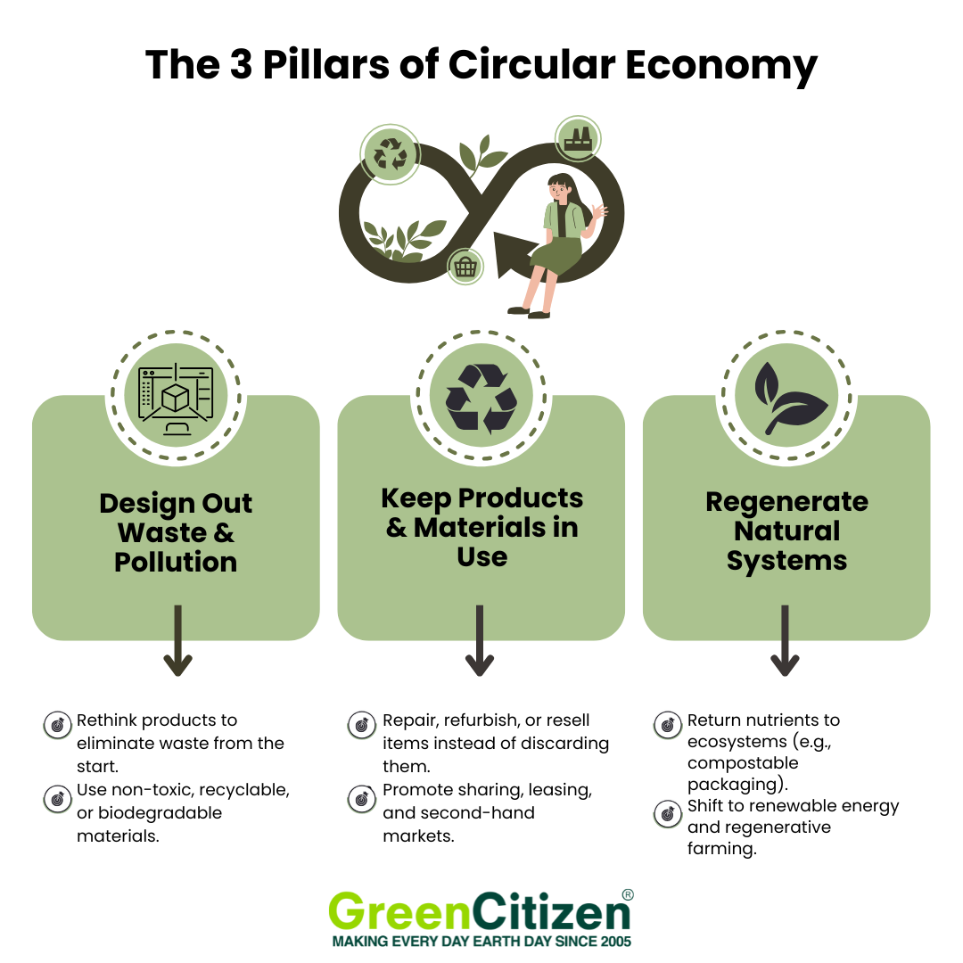 What is Circular Economy and Why It Matters for Consumers