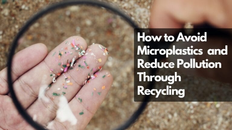 How to Avoid Microplastics and Reduce Pollution Through Recycling ...
